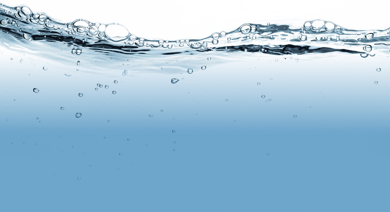 Home - Salish Elements