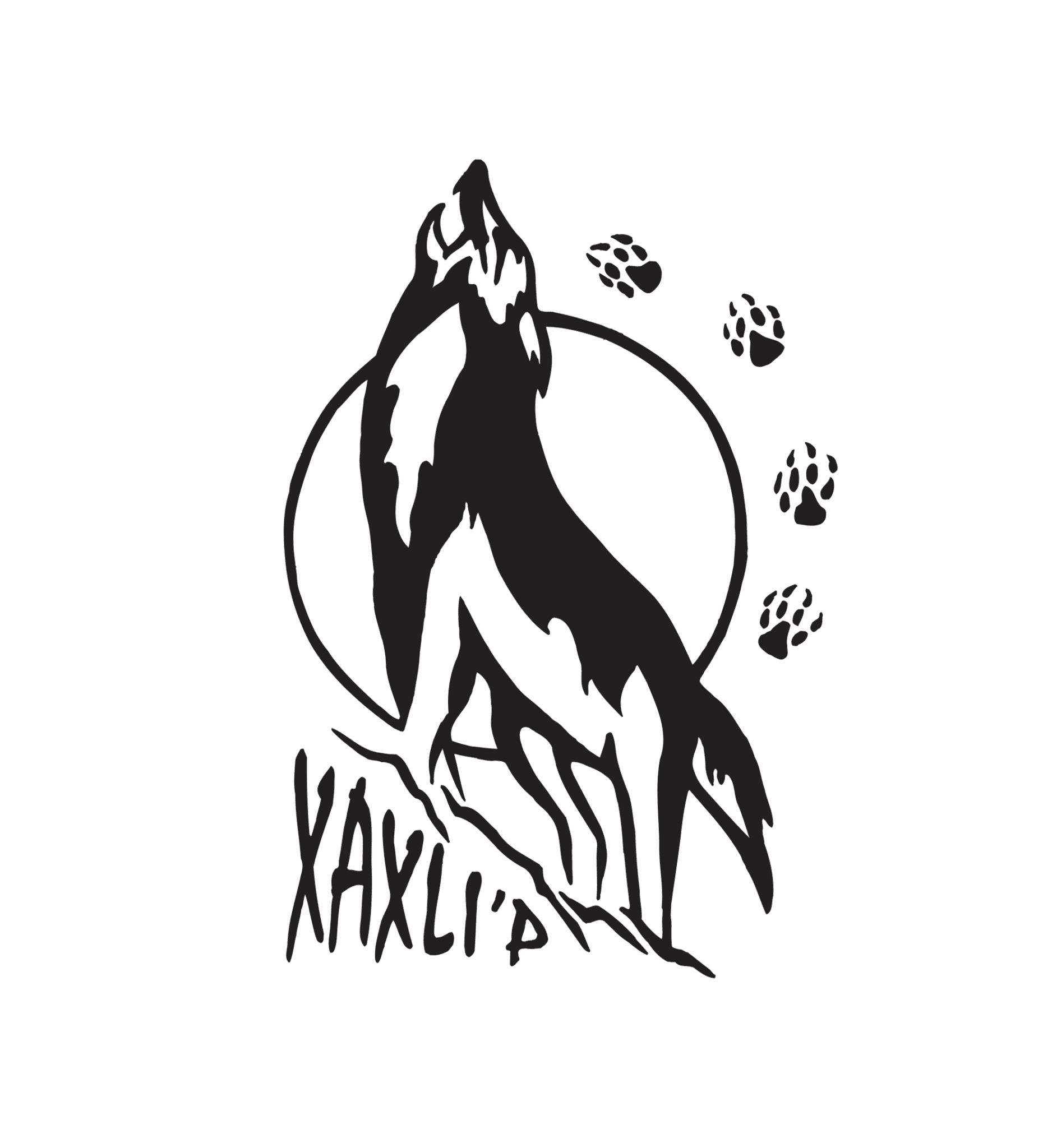 Salish Elements - About Us